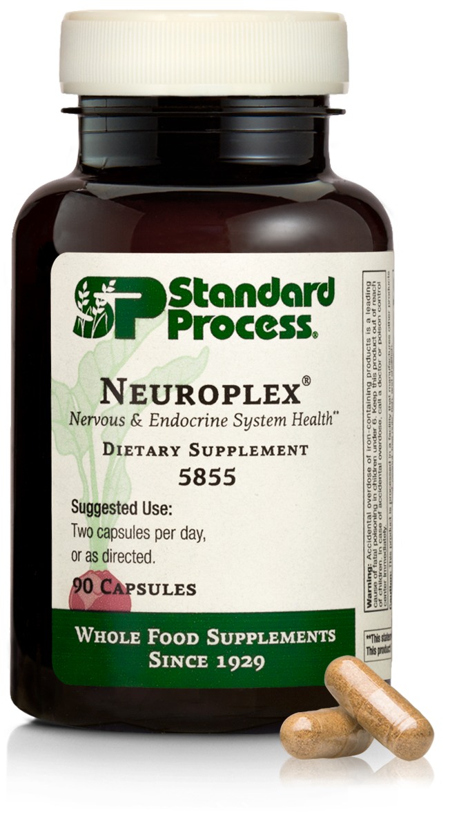 Neuroplex®, 90 Capsules – Perfectly Healthy